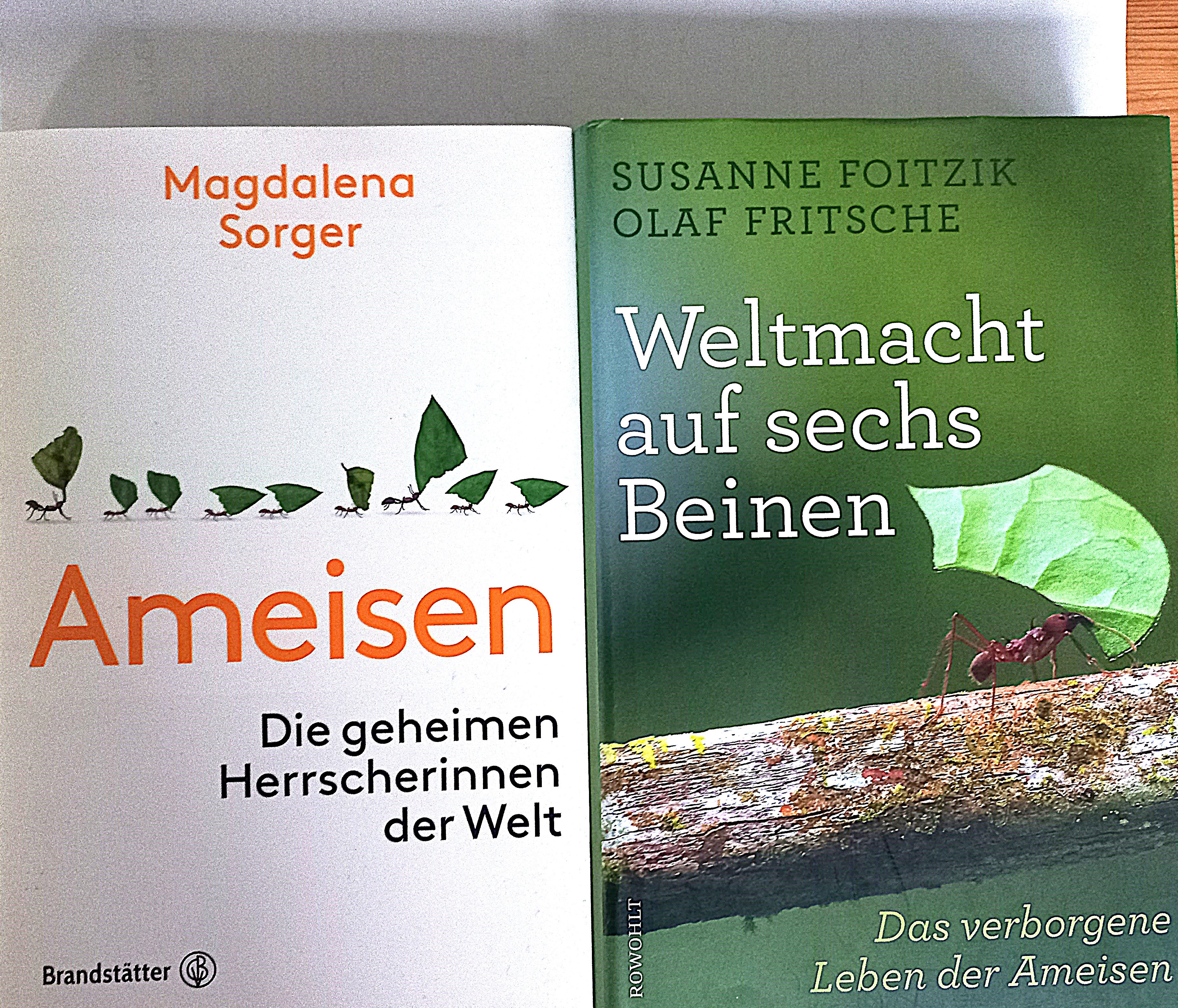 Buch Uber Ameisen